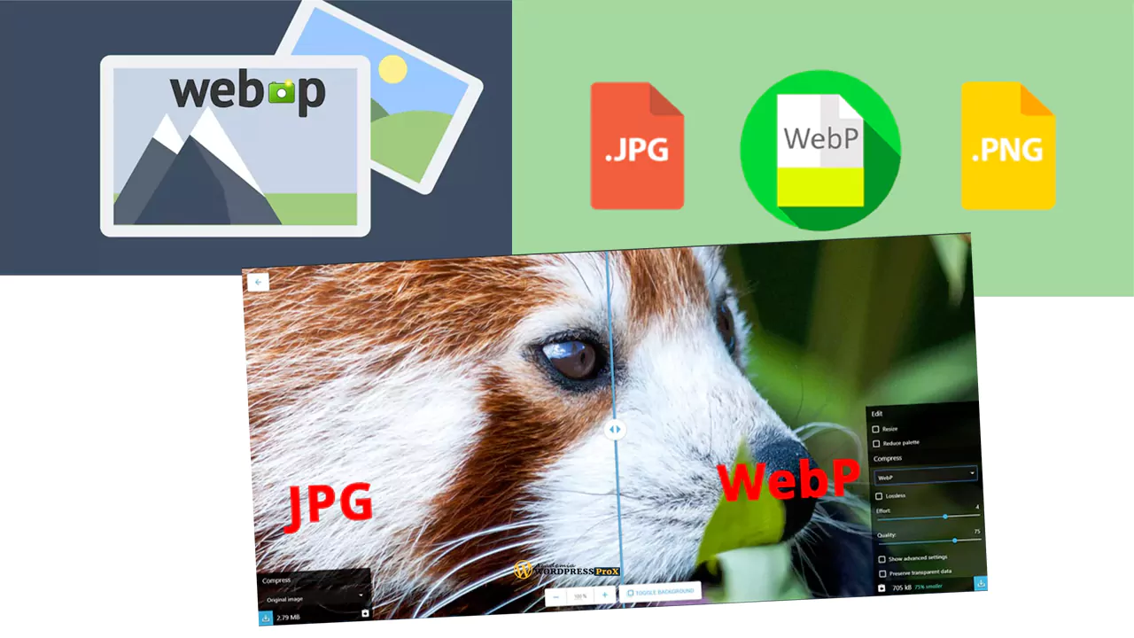 Desvendando o WebP: O Formato de Imagem Moderno para a Web
